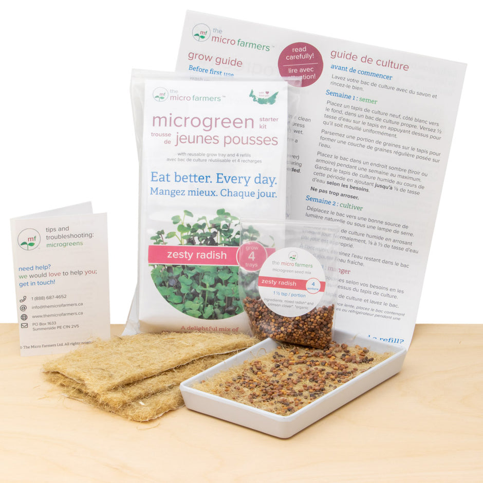 Homegrown microgreens for wholesome living – the micro farmers
